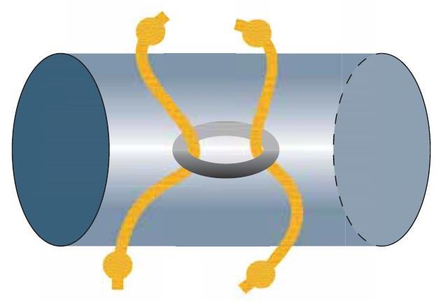 Using Models Cpd Article Rsc Education