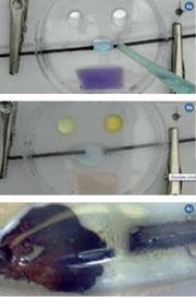 Microscale chemistry revisited | Feature | RSC Education