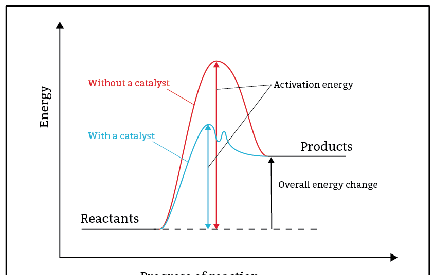 Teaching rates of reaction and collision theory at 14–16 | CPD article ...