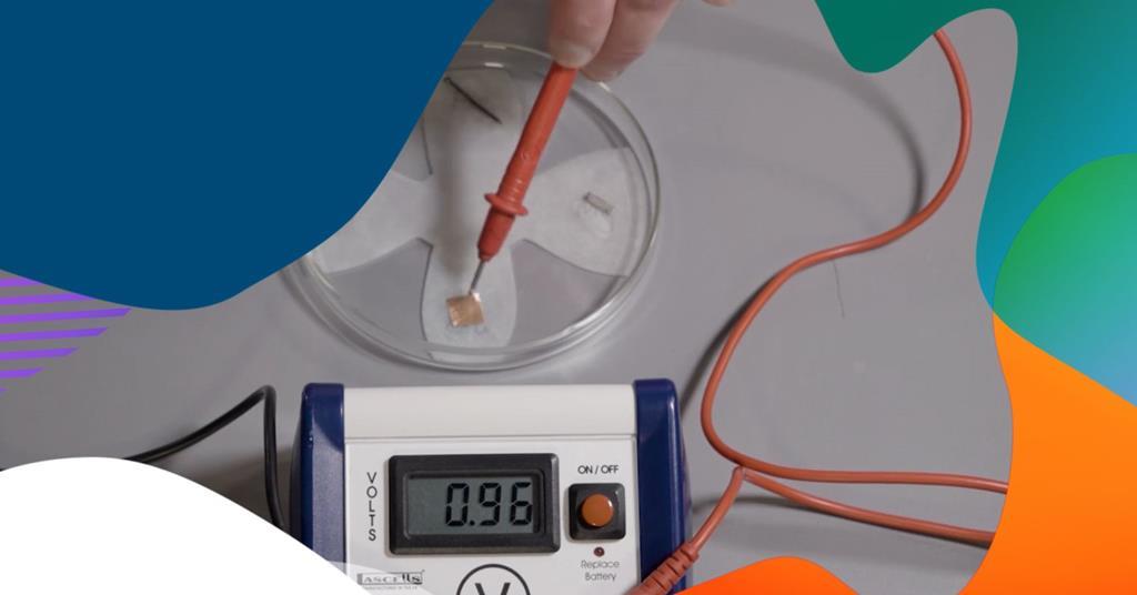 Electrochemical cells | practical videos | 16–18 students | Practical ...