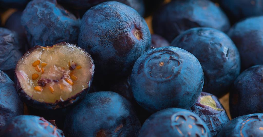 Revealing blueberries’ nanostructure | News | RSC Education