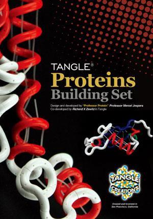 Proteins building set | Review | RSC Education