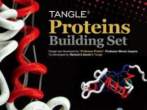 Proteins building set | Review | RSC Education