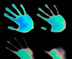 Smart materials: lesson tips | Resource | RSC Education