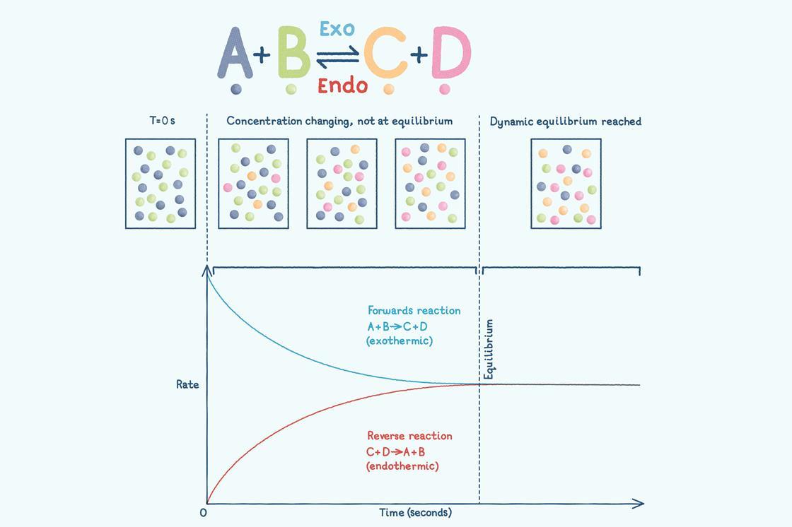 Help learners master equilibrium and reversible reactions | Poster ...