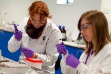 First Year Undergraduate Chemistry Laboratory Course Manual 2011-2012 ...