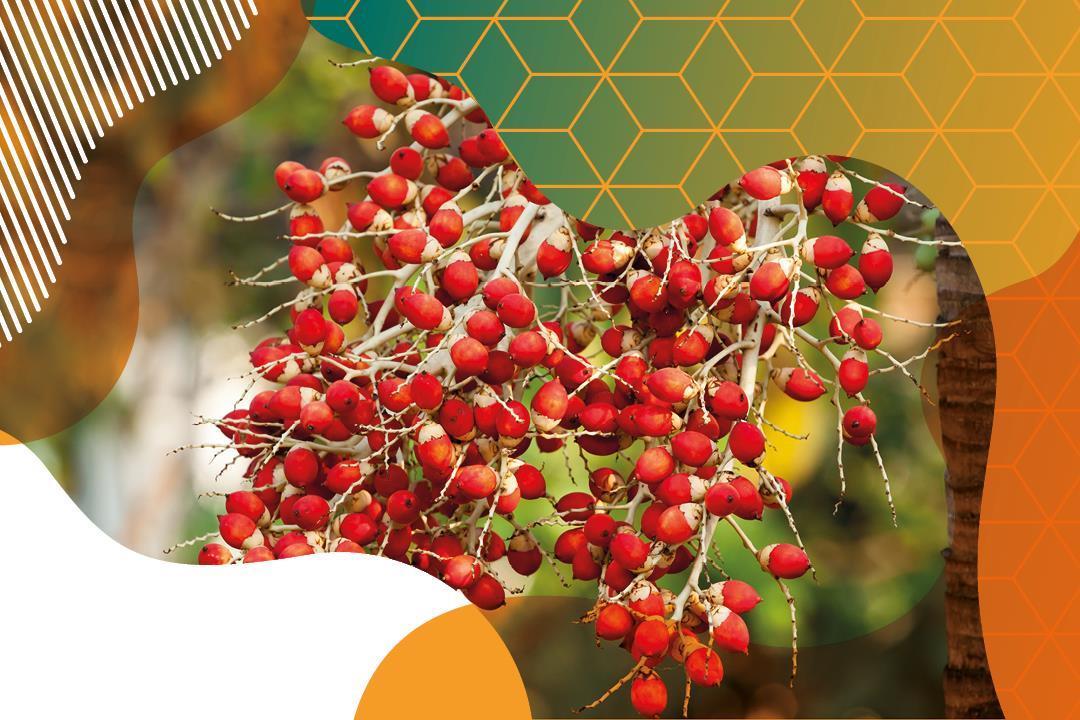 Na séasúir agus aimsir gan choinne | 4–7 mbliana | Topic web | RSC ...