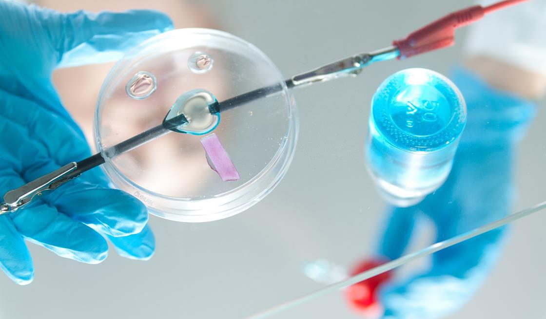 Making practical work more effective | Feature | RSC Education