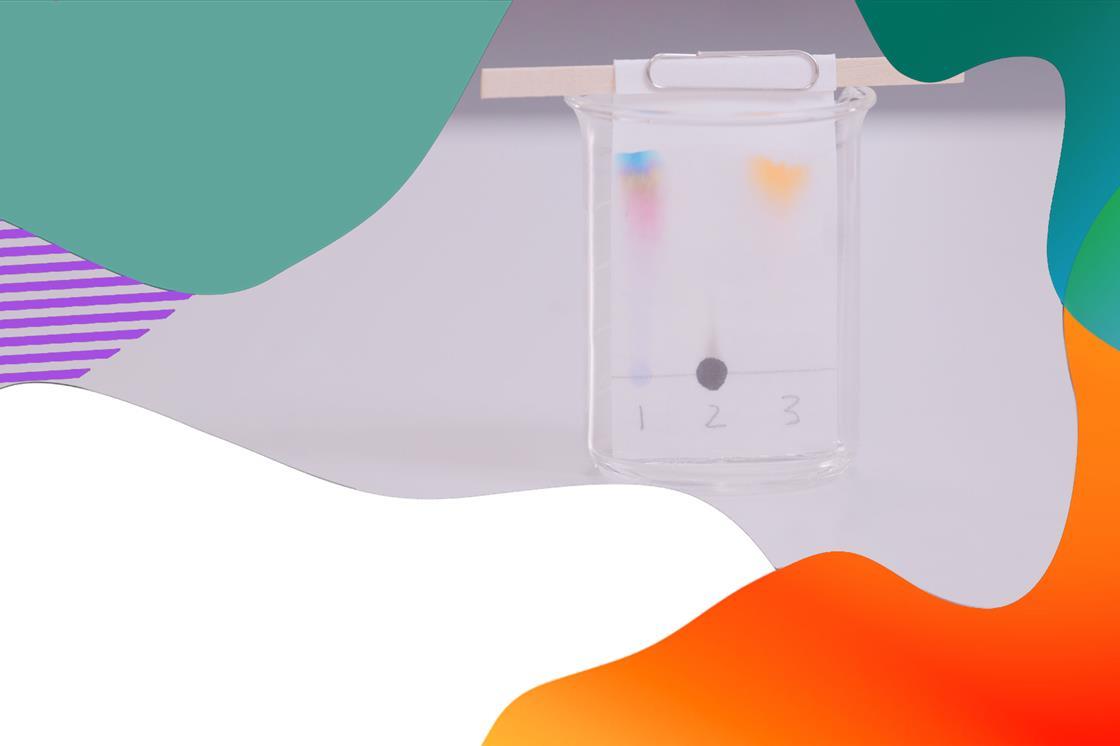 Paper chromatography | practical videos | 14–16 years | Practical video ...