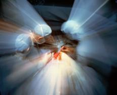 On This Day - Nov 13 : Edward Doisy was born | Resource | RSC Education