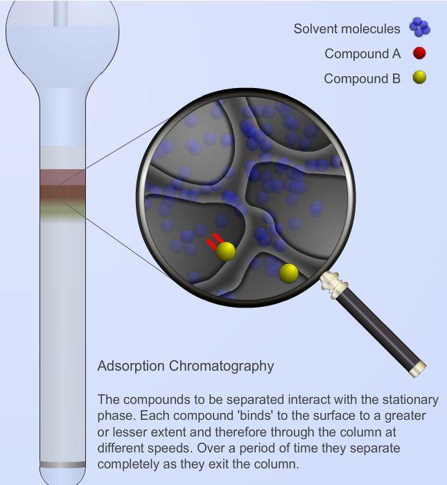 Chromatography | Resource | RSC Education