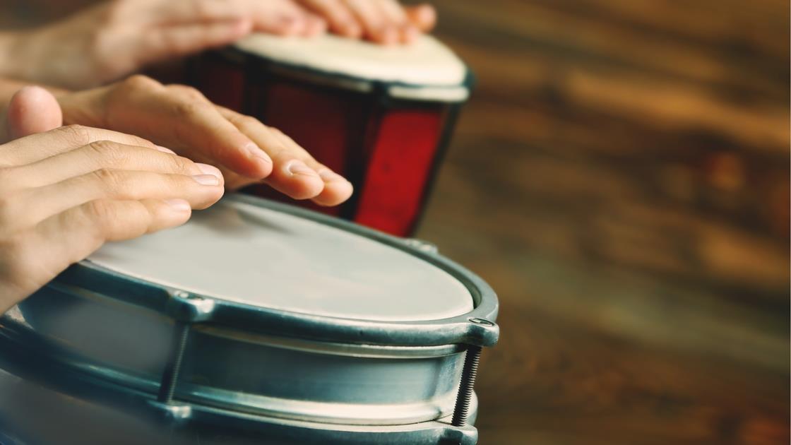 The rhythm of life | Feature | RSC Education