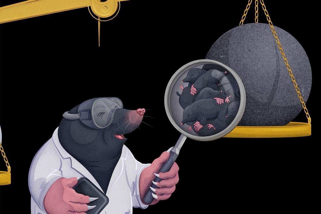 How to calculate moles | Infographics | RSC Education