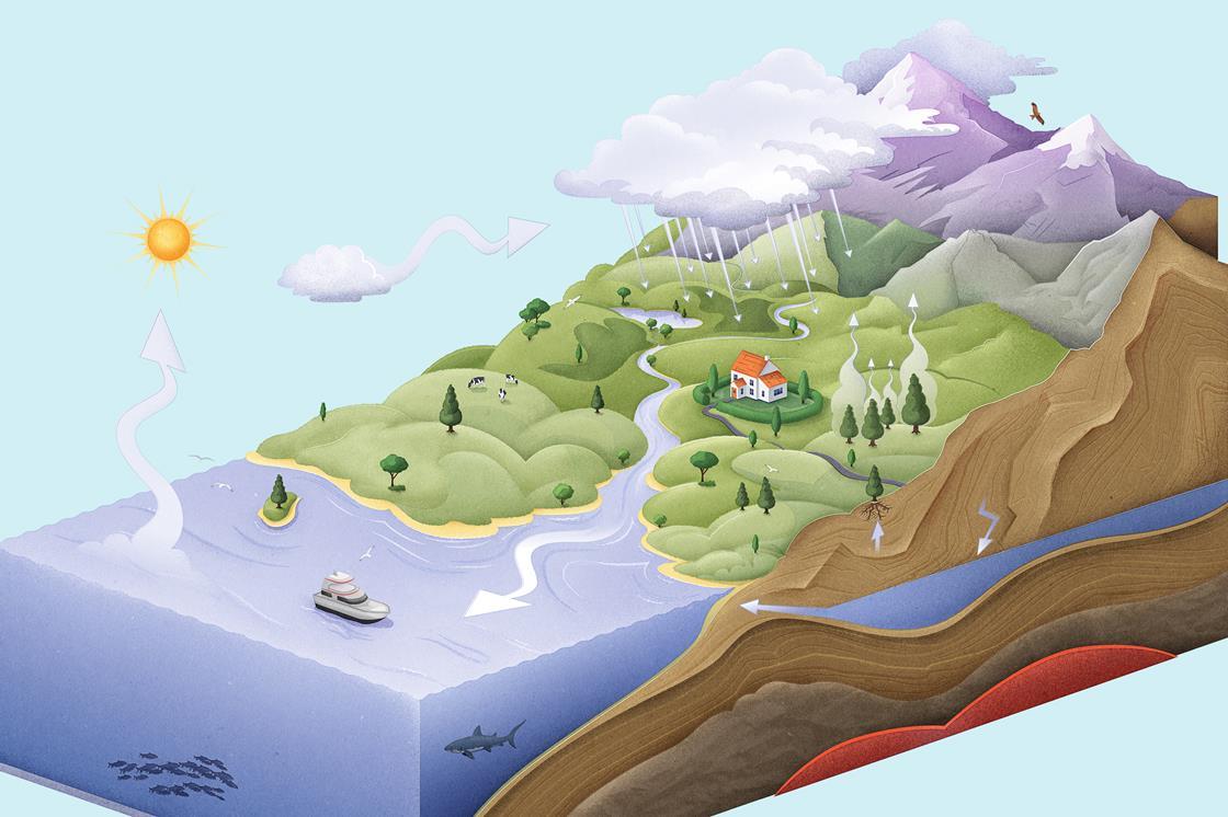 Water cycle explainer | Infographics | RSC Education