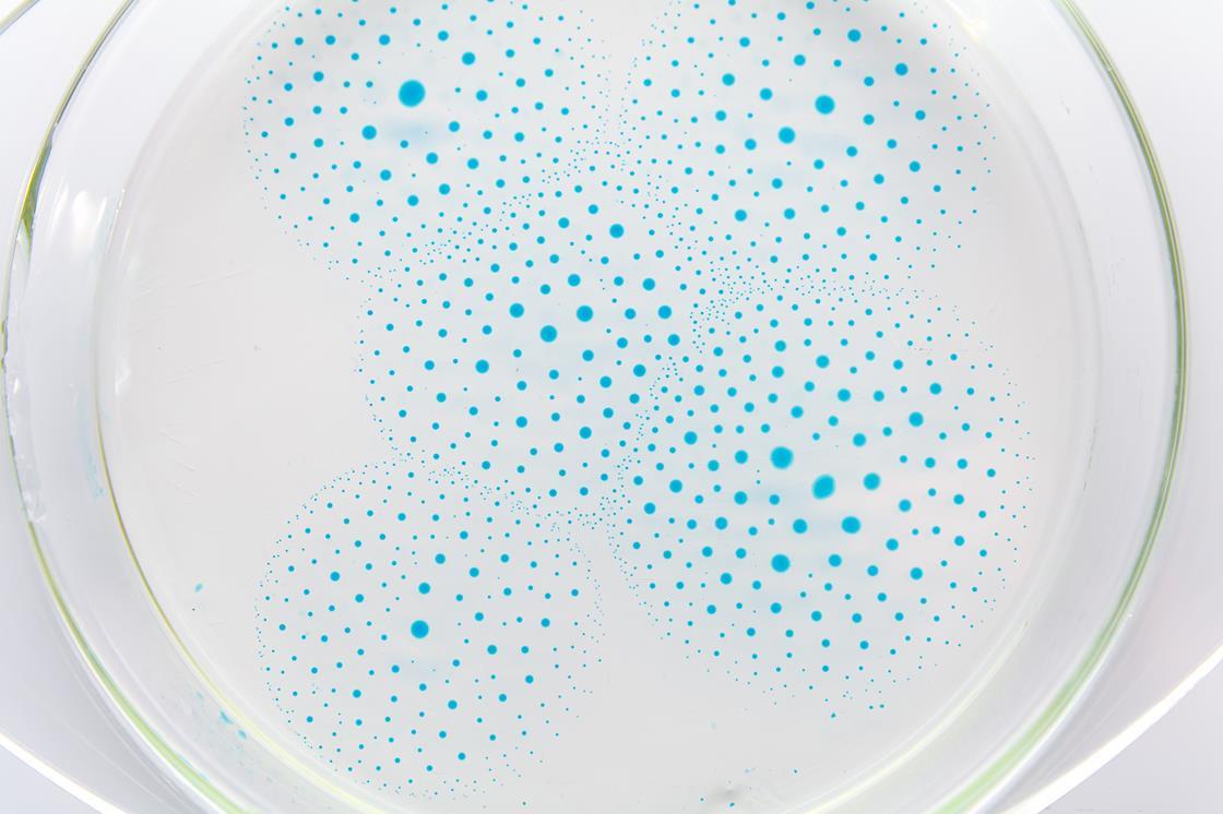 Evaporation, entropy and the Marangoni effect | Exhibition chemistry ...
