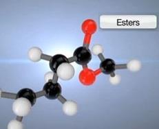 Esters and Perfumes | Resource | RSC Education