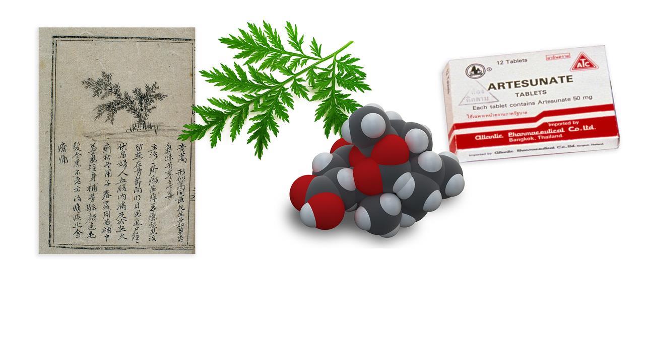 From traditional remedies to modern medicines | Feature | RSC Education