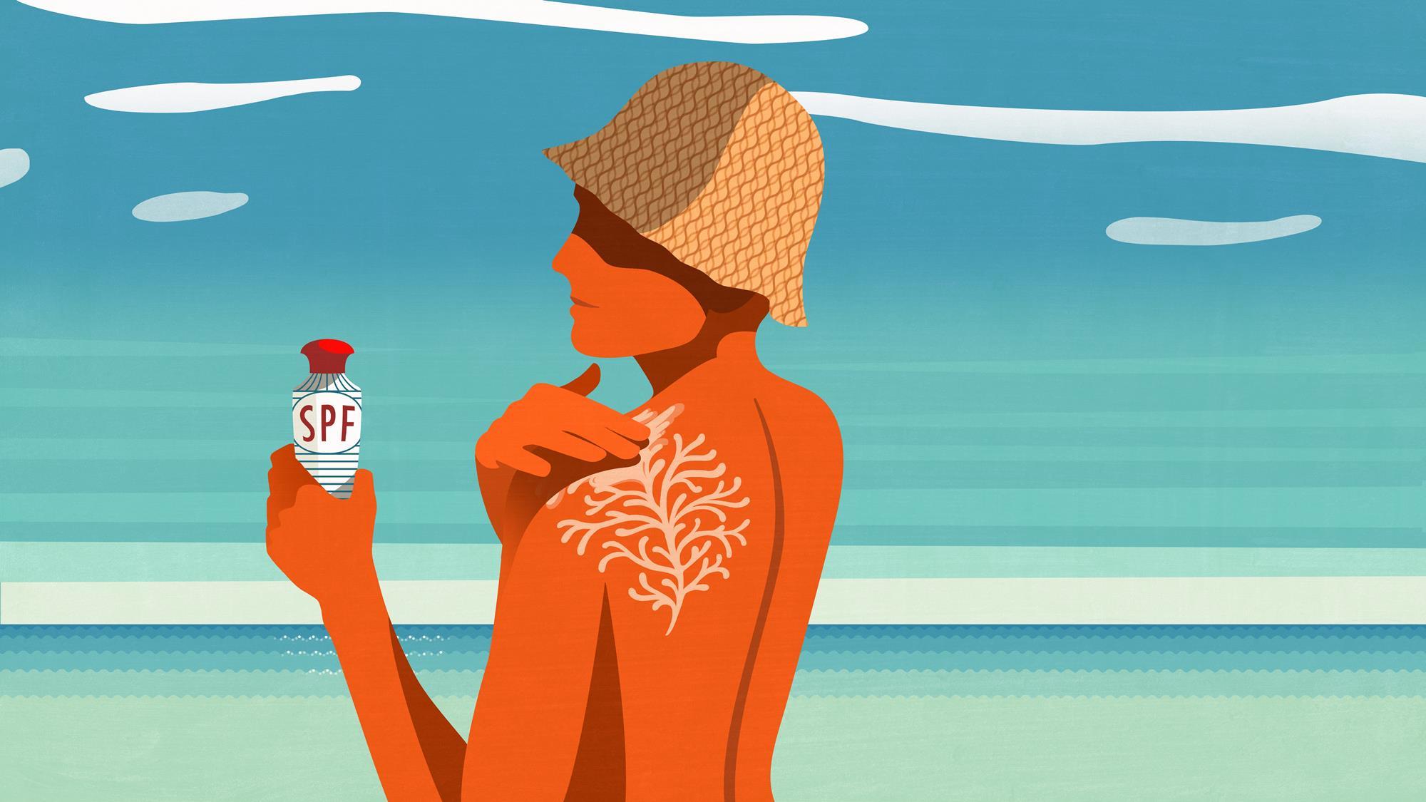 Reef-safe sunscreens | Feature | RSC Education