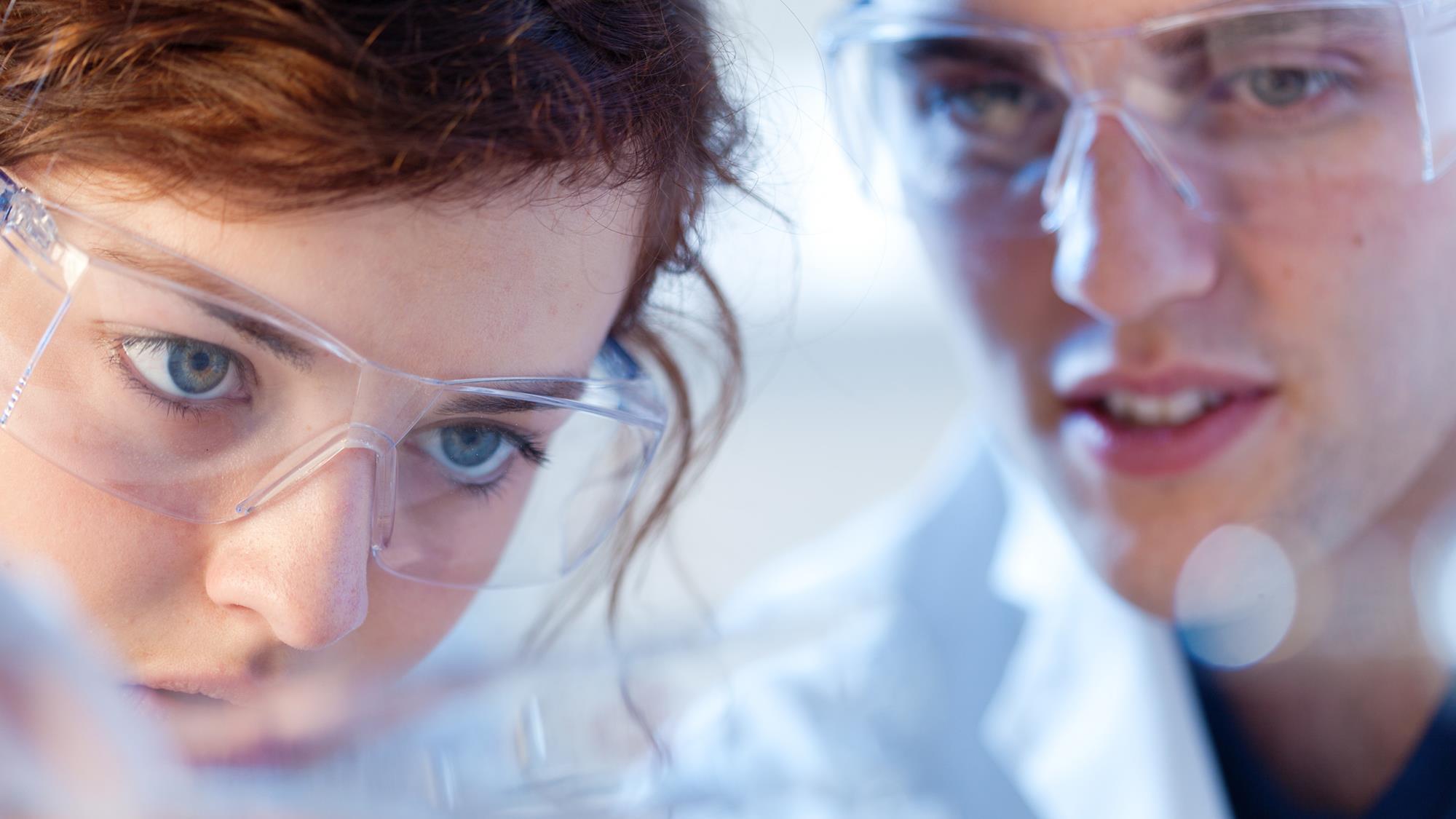 Developing observation skills | Teaching practical scince | CPD article ...