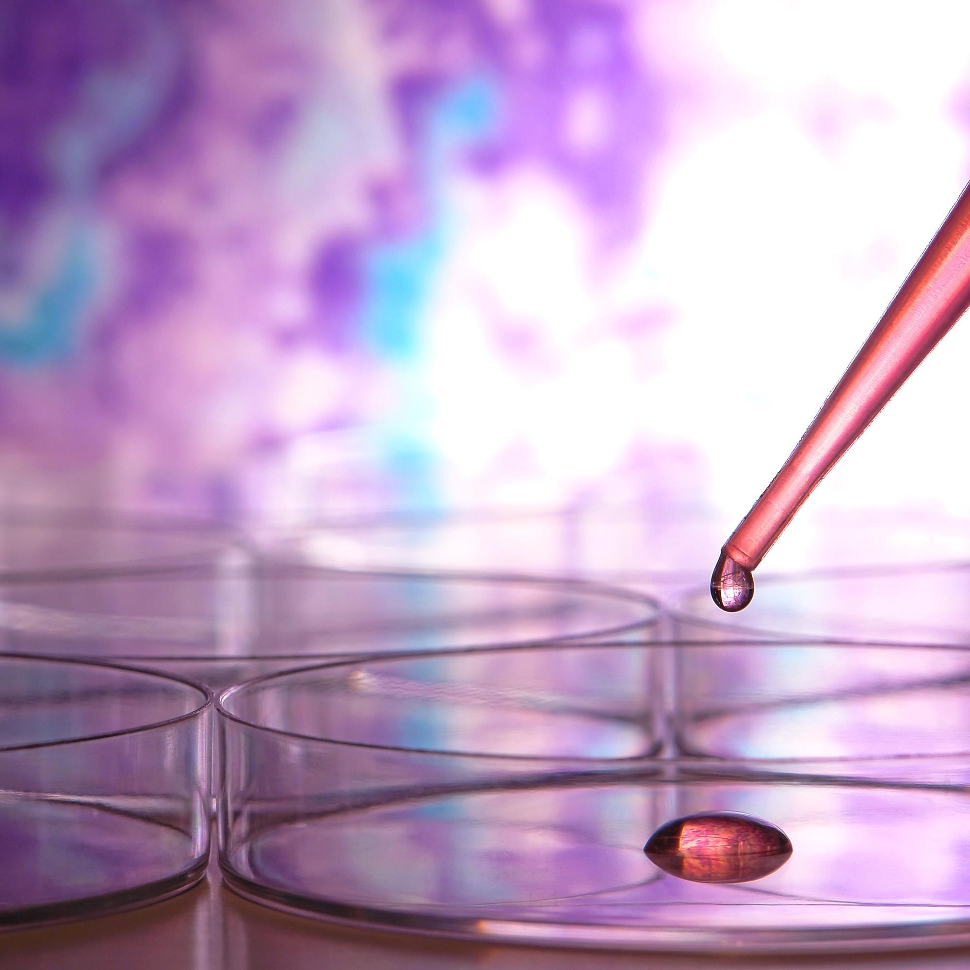 Microscale chemistry practicals | RSC Education