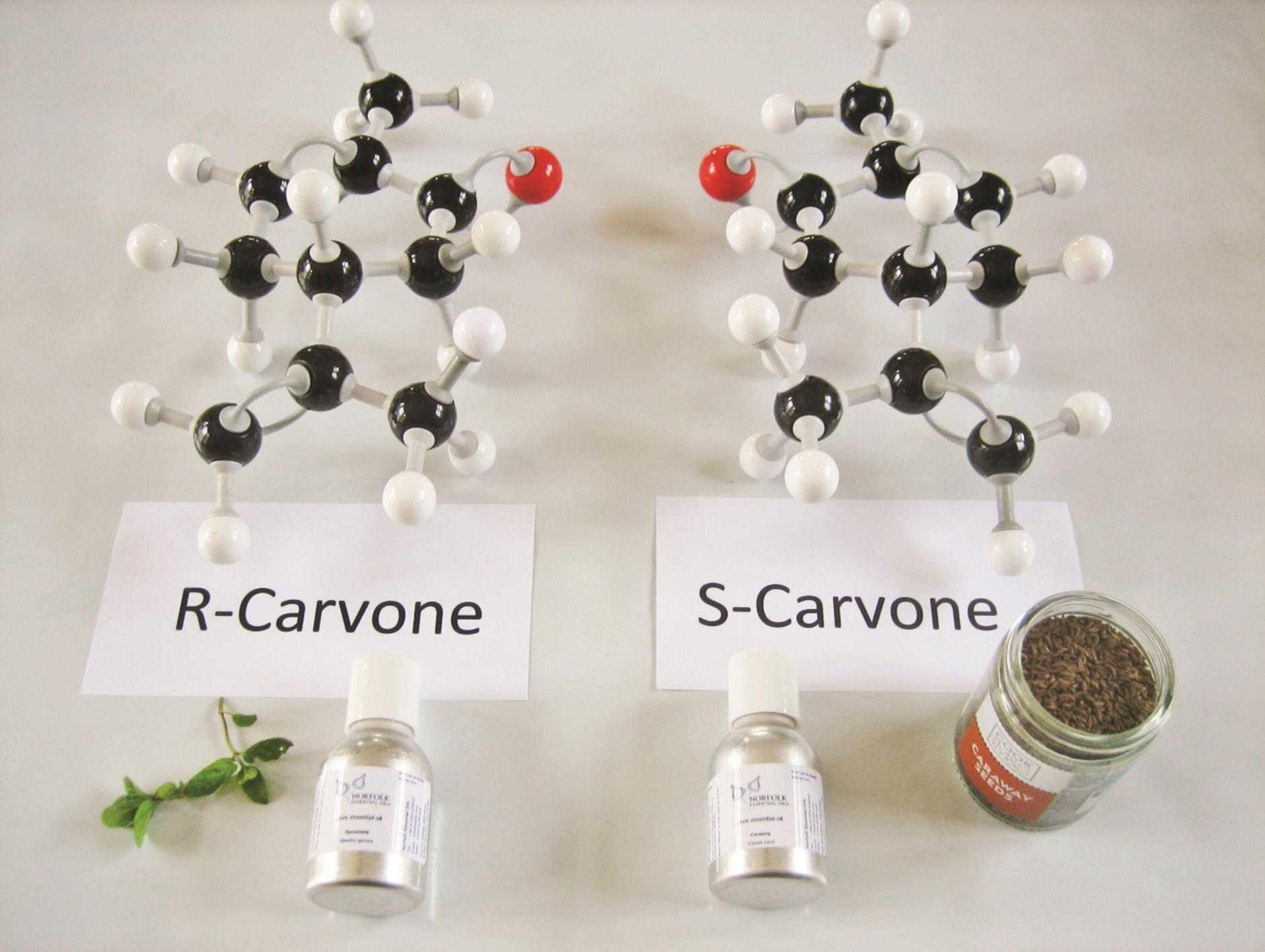 Organic chemistry: smelly and difficult? | CPD | RSC Education