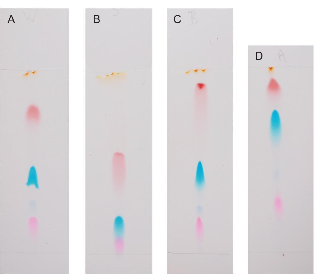 Practical chromatography | CPD | RSC Education