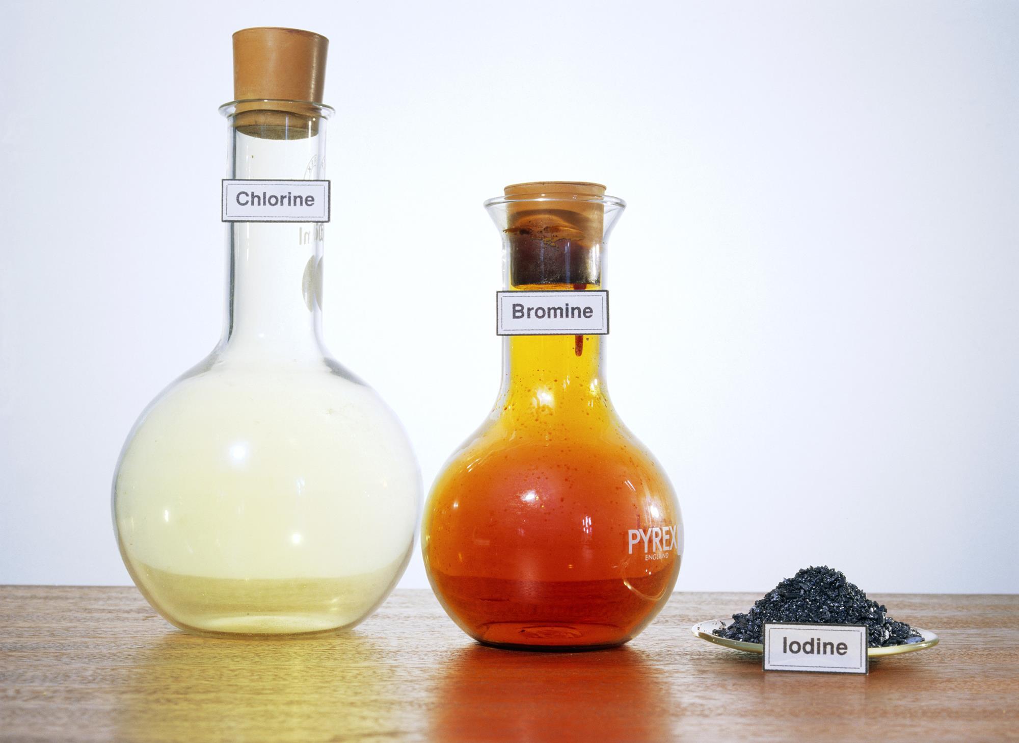 halogens non examples