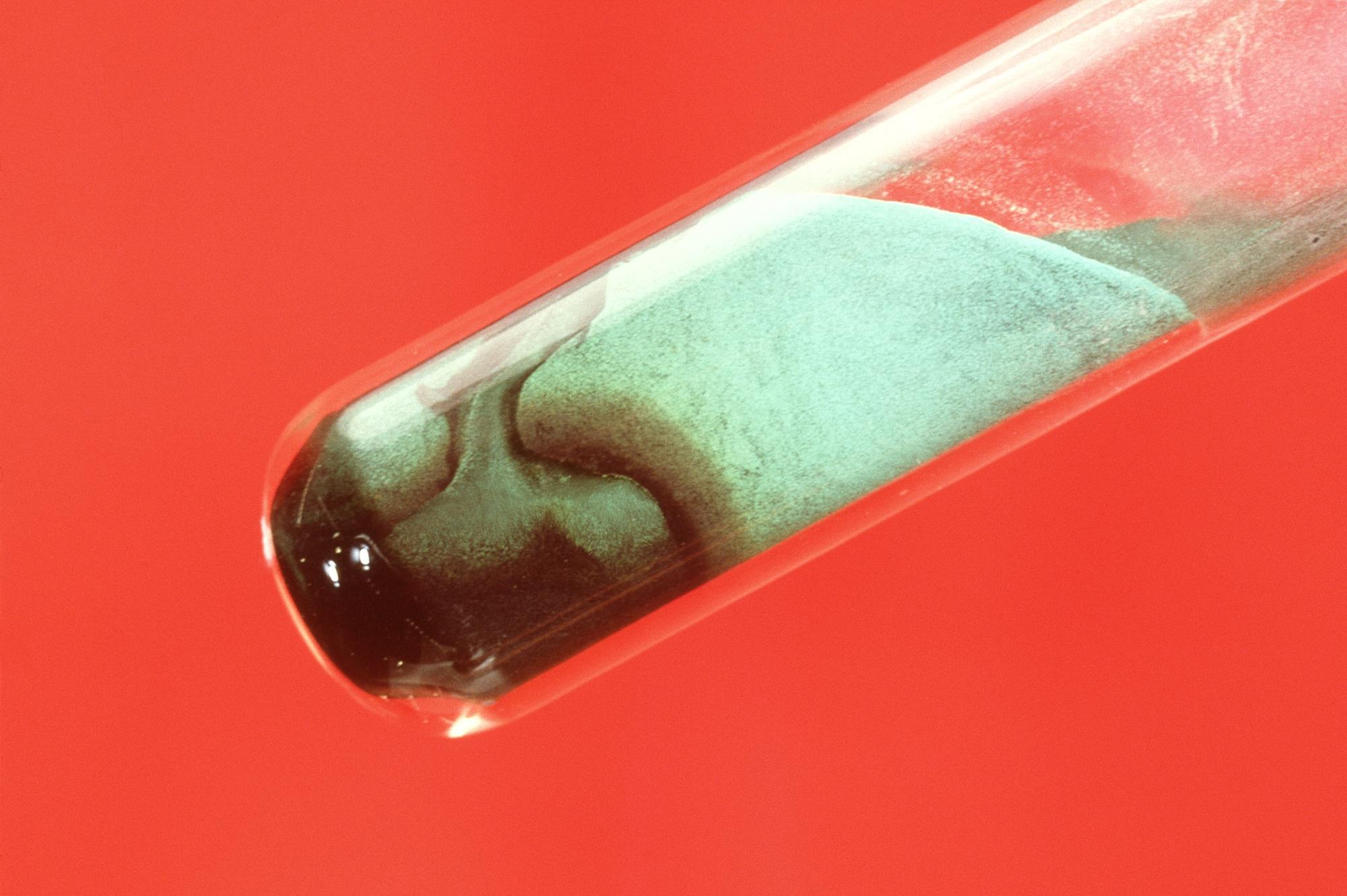 Conservation Of Mass Demonstration