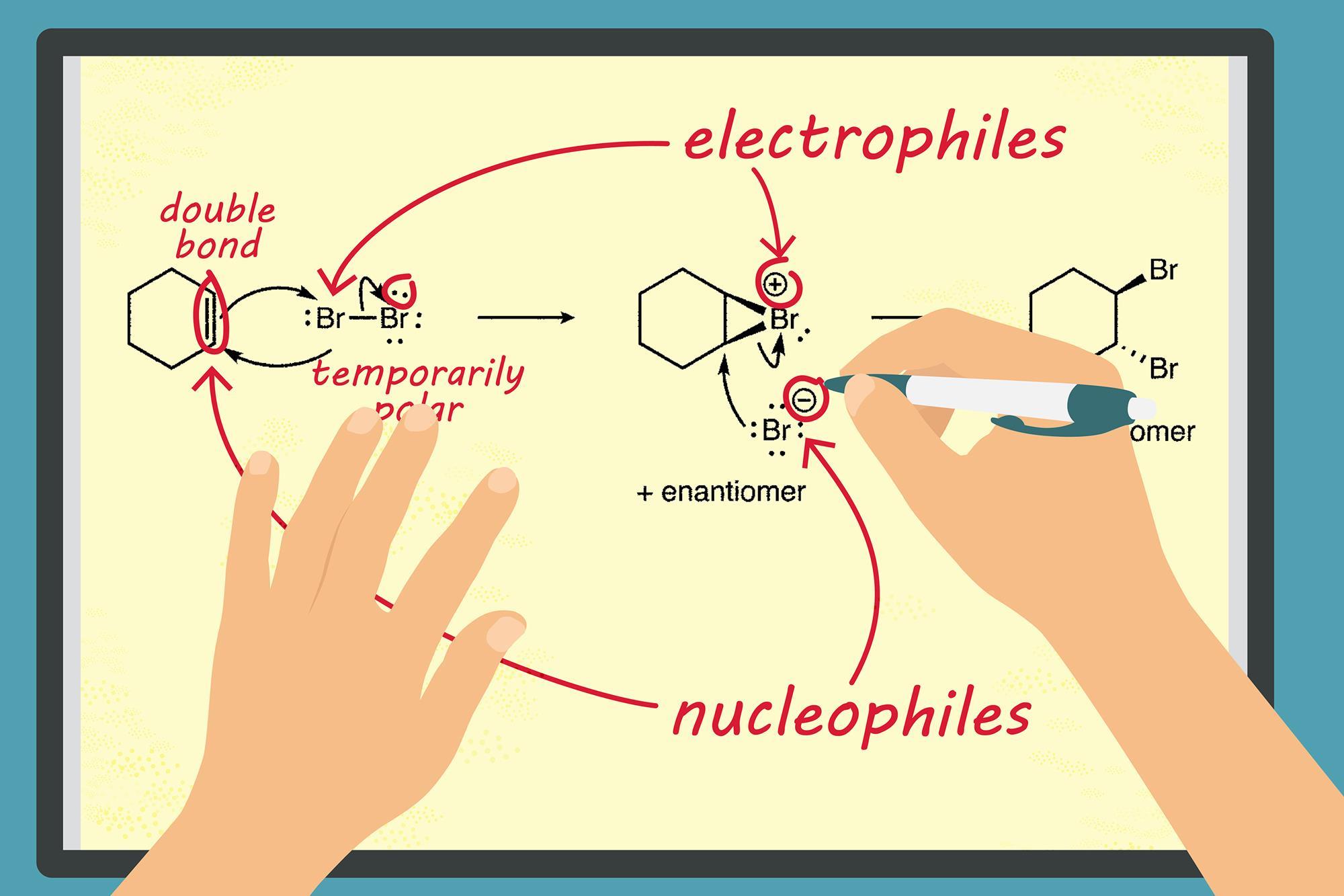 Nucleophile Electrophile With Images Chemistry