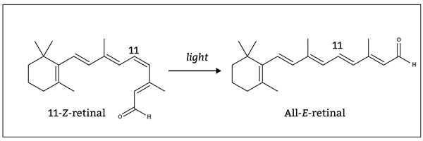 Teaching isomerism at post-16 | CPD article | RSC Education