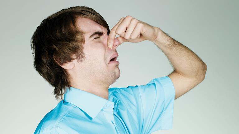 Sniffing out the science of smells | Feature | RSC Education