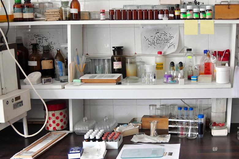 12 top tips for safe science in your school | Ideas | RSC Education