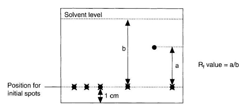 Paracetamol book | Using thin-layer chromatography to investigate the ...