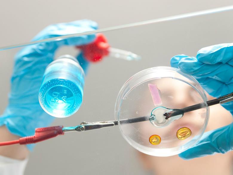 Making practical work more effective | Feature | RSC Education