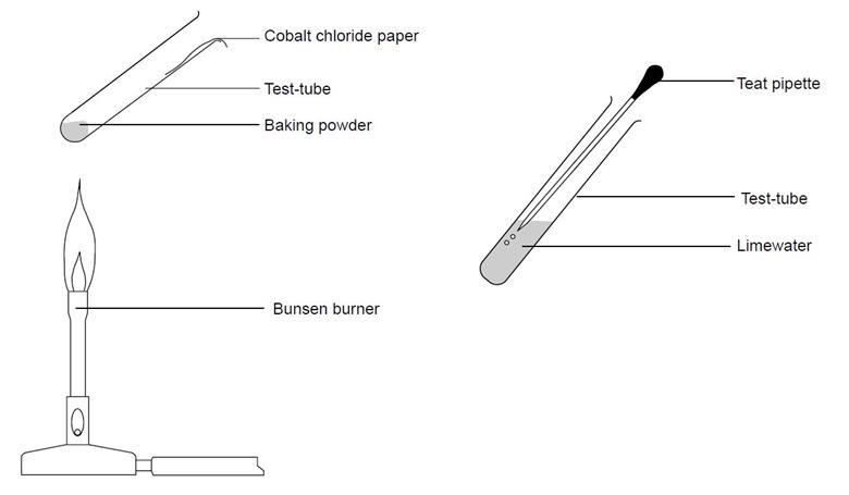 Baking powder | Resource | RSC Education