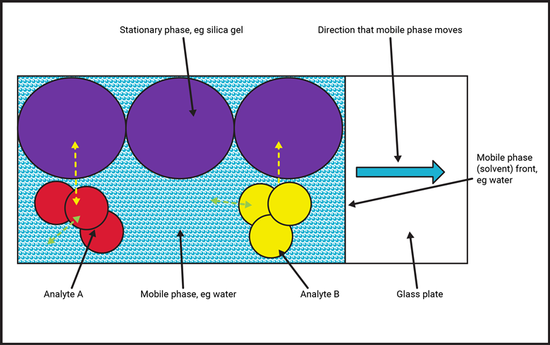 How to teach chromatography at post-16 | CPD article | RSC Education