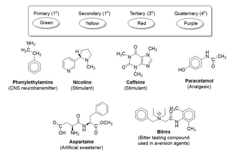 Compounds with amine groups 16–18 | Resource | RSC Education
