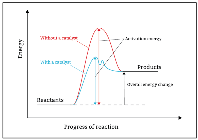 Teaching rates of reaction and collision theory at 14–16 | CPD article ...